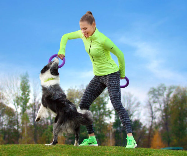 Puller Dog Fitness Tool: Innovation in Dog Toys – Warmako